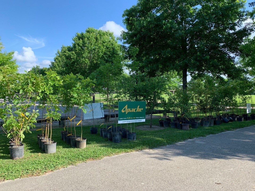 Restoring Communities Through Reforestation - APA Corporation